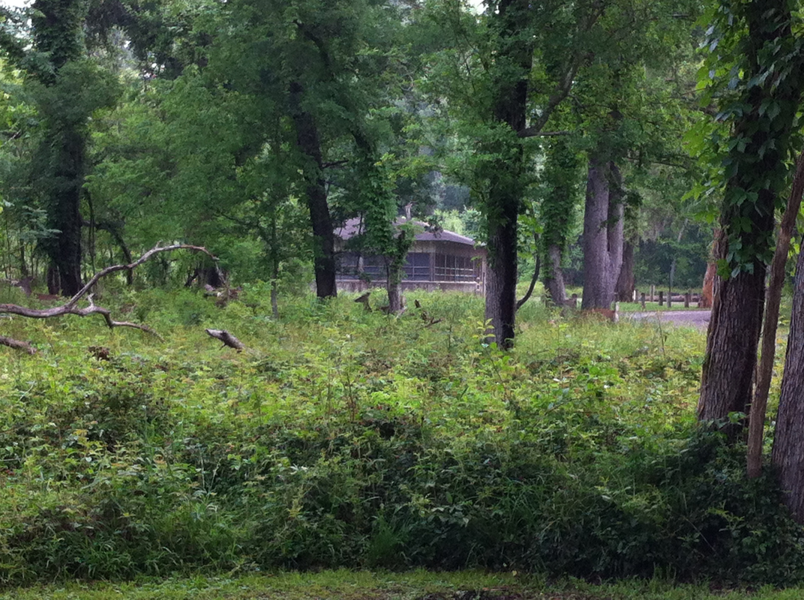 Don’t underestimate Children – Blue Skies and Green Pastures