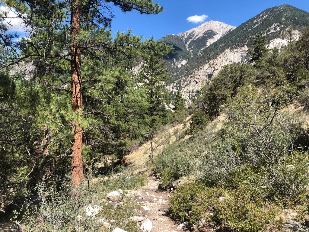 Great Company, Glorious Trees and Beautiful Mountains! Three blessed ...
