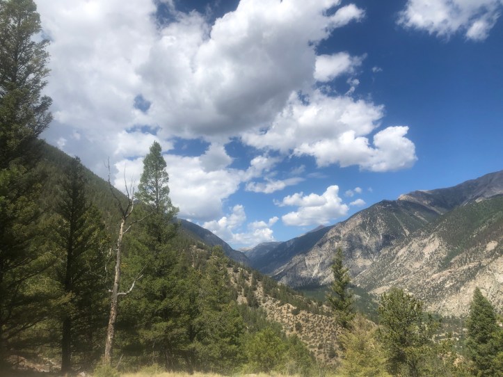 Great Company, Glorious Trees and Beautiful Mountains! Three blessed ...