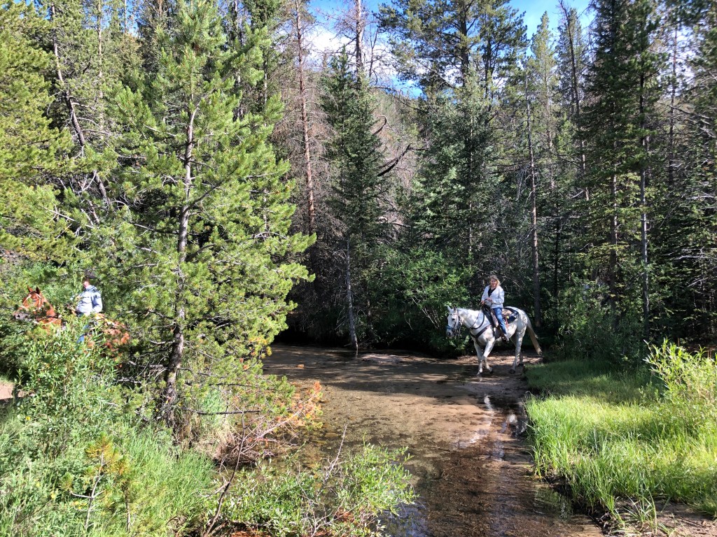 Great Company, Glorious Trees and Beautiful Mountains! Three blessed ...